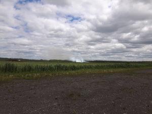 60 firefighters worked to extinguish field fire near Alfred Bog - The ...