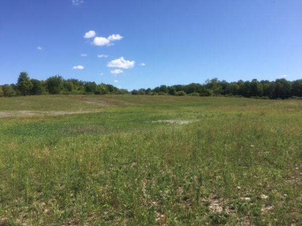 Lafarge Canada’s Newton Pit receives progressive rehabilitation award ...