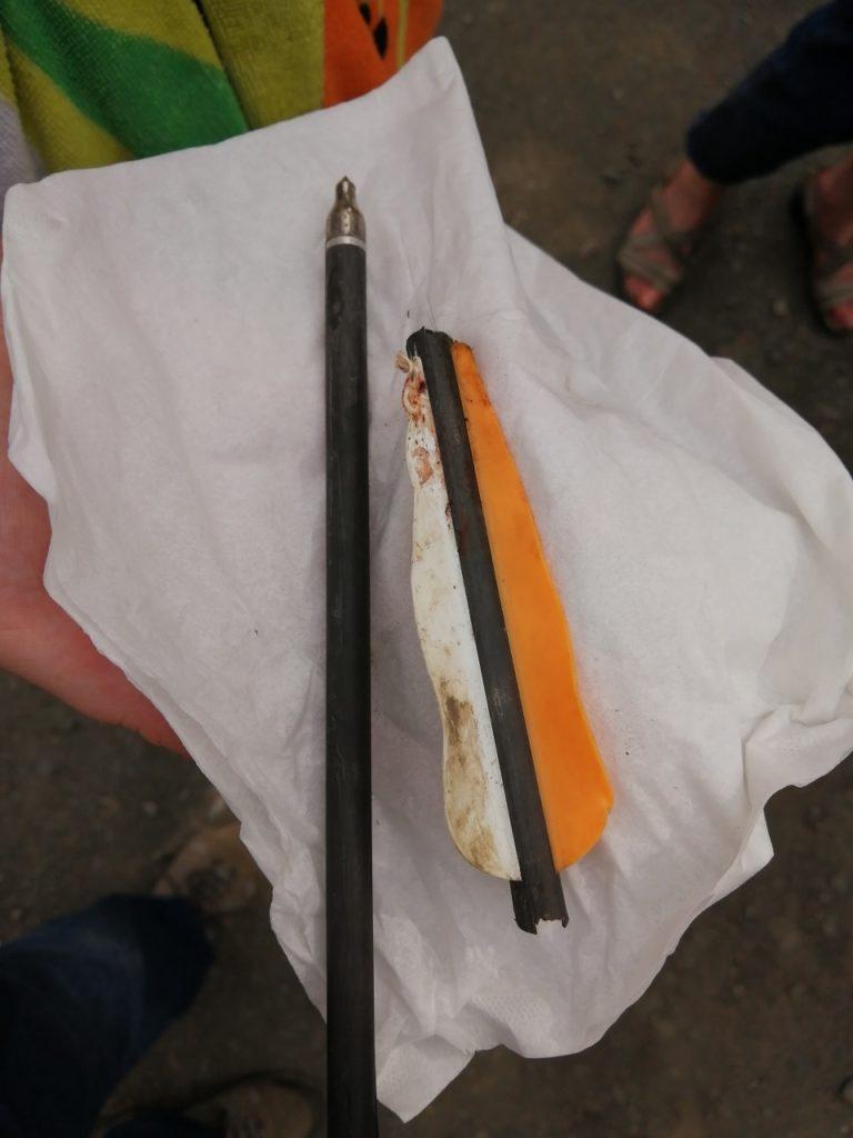 Cat rescuer wants to find person responsible for shooting arrow through ...