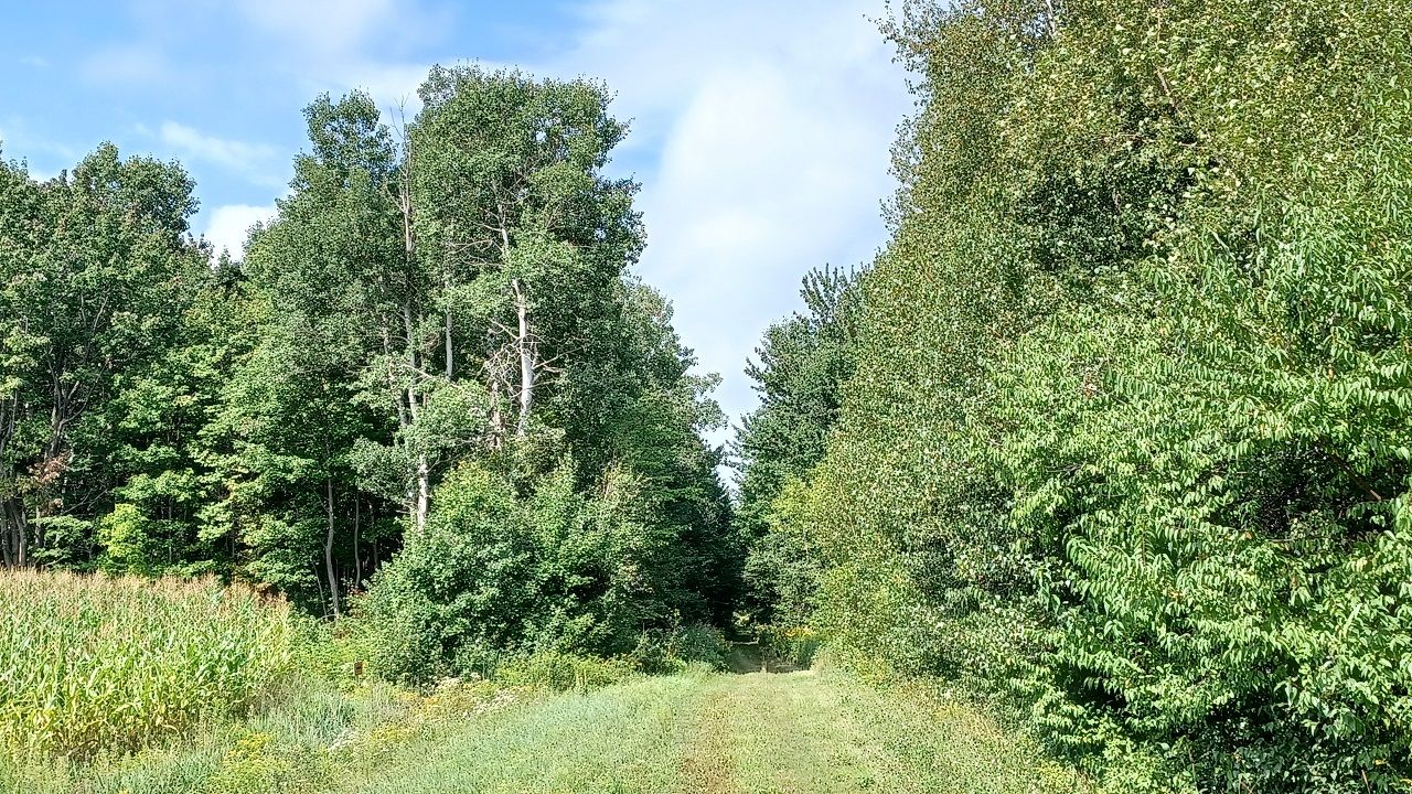 Province continues with provincial park plan for Alfred Bog - The ...