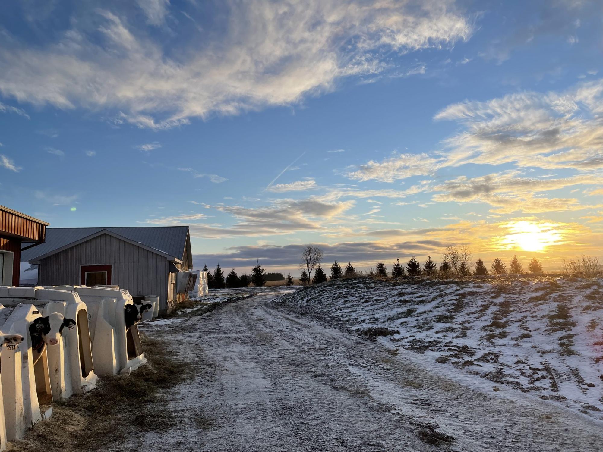 The first snowfall - The Review Newspaper