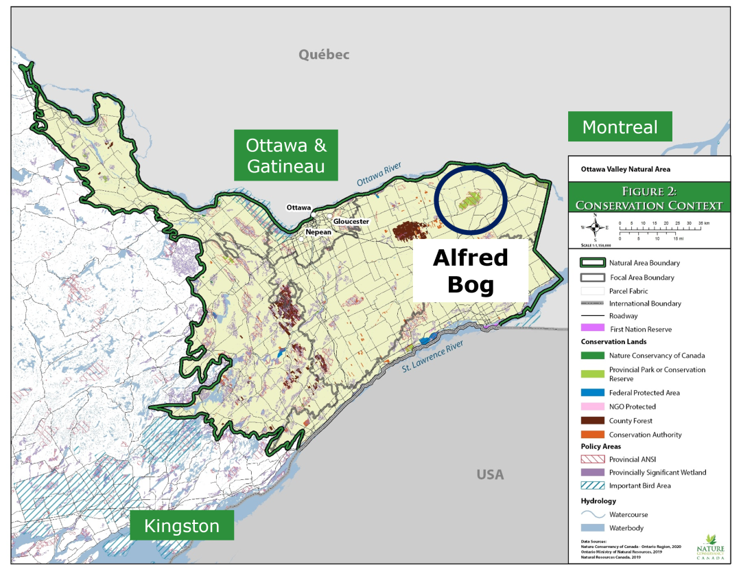 82 additional hectares of Alfred Bog will be protected - The Review ...