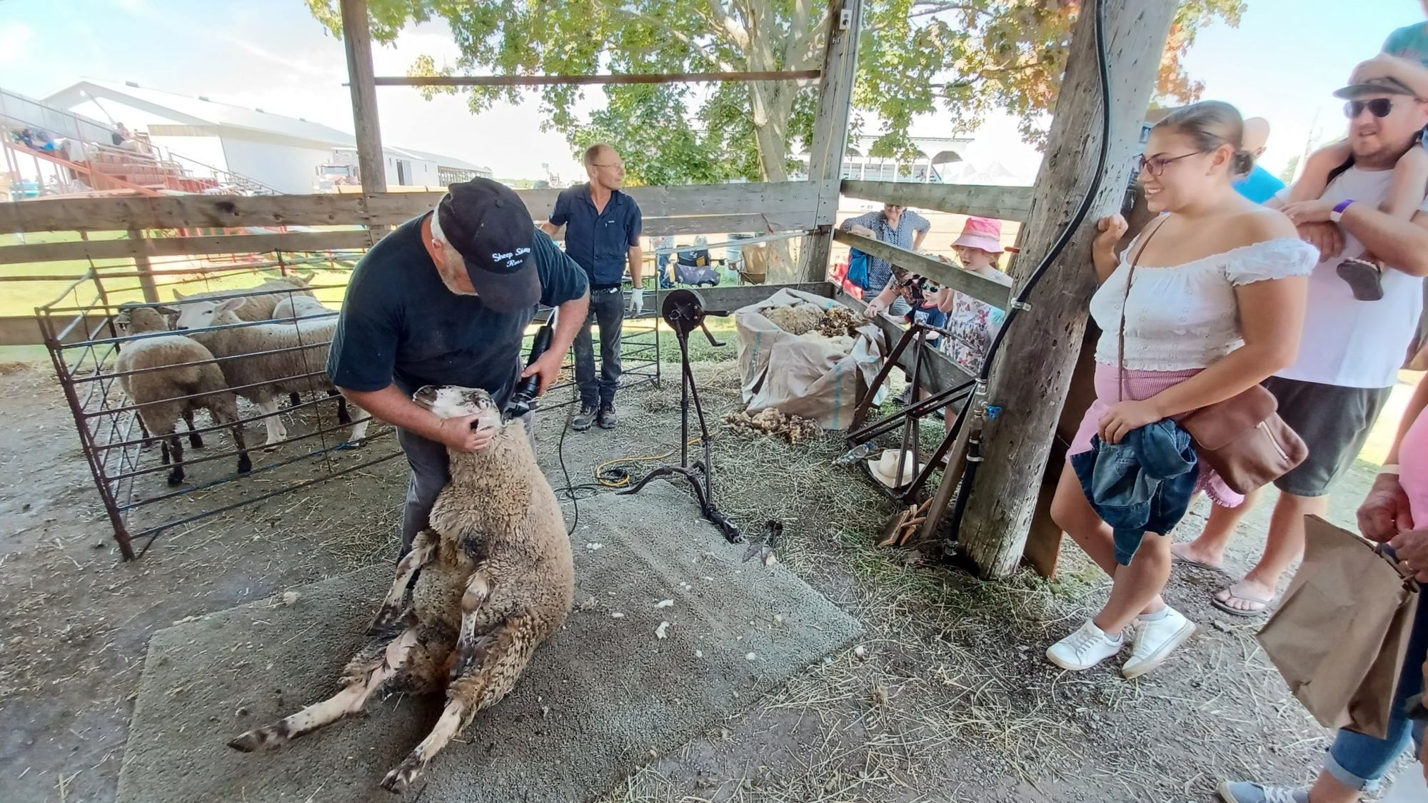 Ross Creighton shares stories of sheep shearing - The Review Newspaper