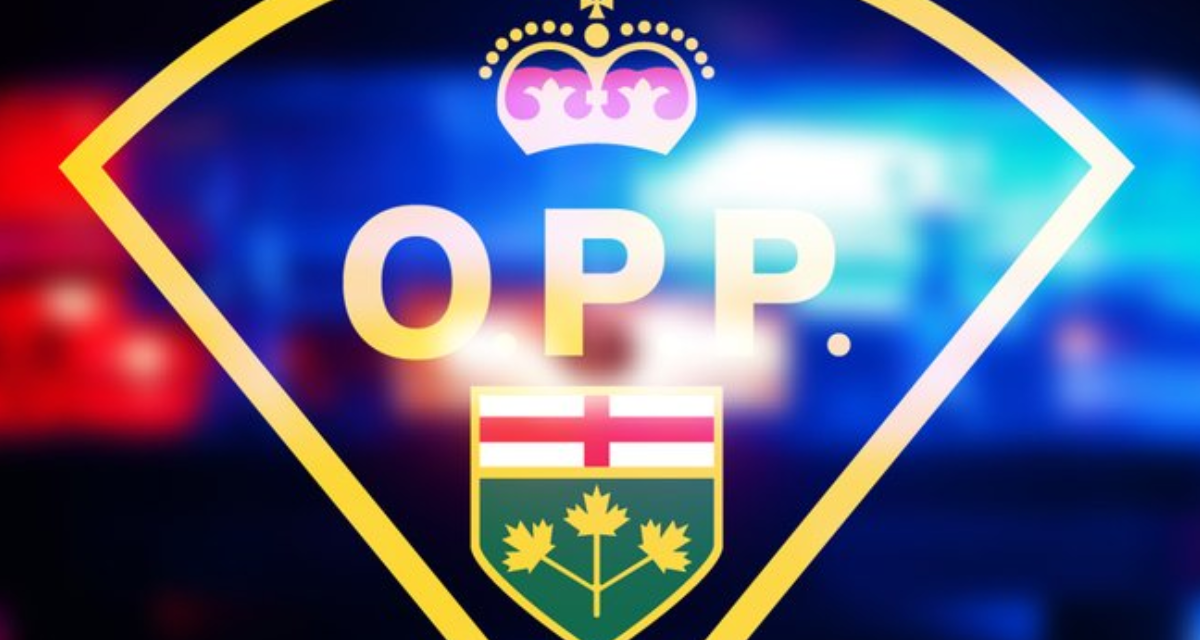 OPP costs rise significantly for SDG counties, province - The Review ...