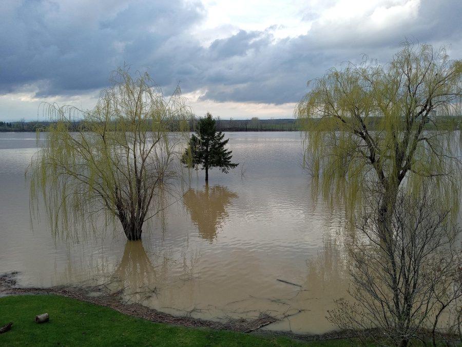 Rain means rising water along Ottawa River