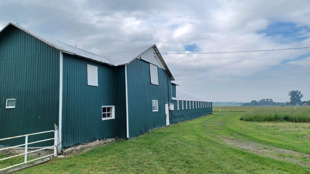 History and change at Cassbrae Farms