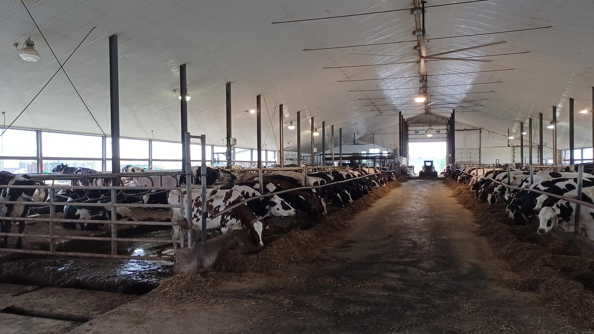 BenAllan Farms now in its fourth generation - The Review Newspaper