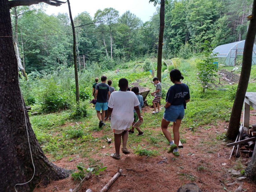 Picnic with a Purpose coming to Camp Amy Molson - The Review Newspaper