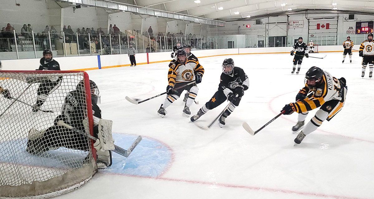 Cougars fall to Volant, Castors, as win streak ends - The Review Newspaper