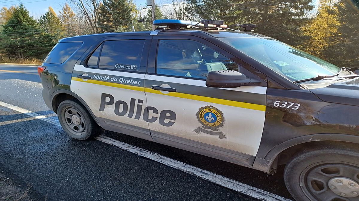 Drugs, contraband cannabis seized, arrest made in Lachute
